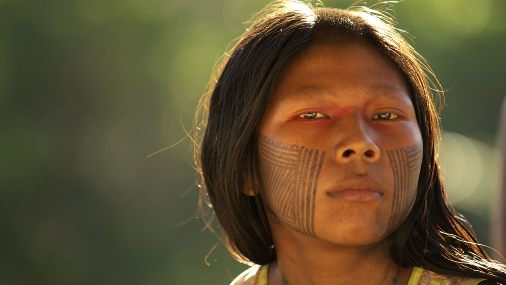 Kayapo Project - The most successful conservation story