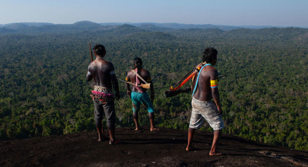Homepage - Kayapo Project