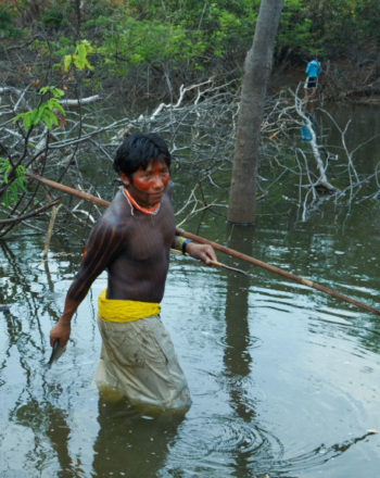 Kayapo Project - The most successful conservation story