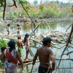Indigenous Territory Protecting 10M Hectares of Rainforest