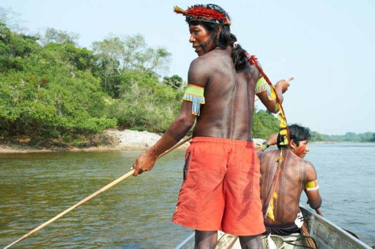 Kayapo Project - The most successful conservation story