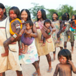 Kayapo Project - The most successful conservation story