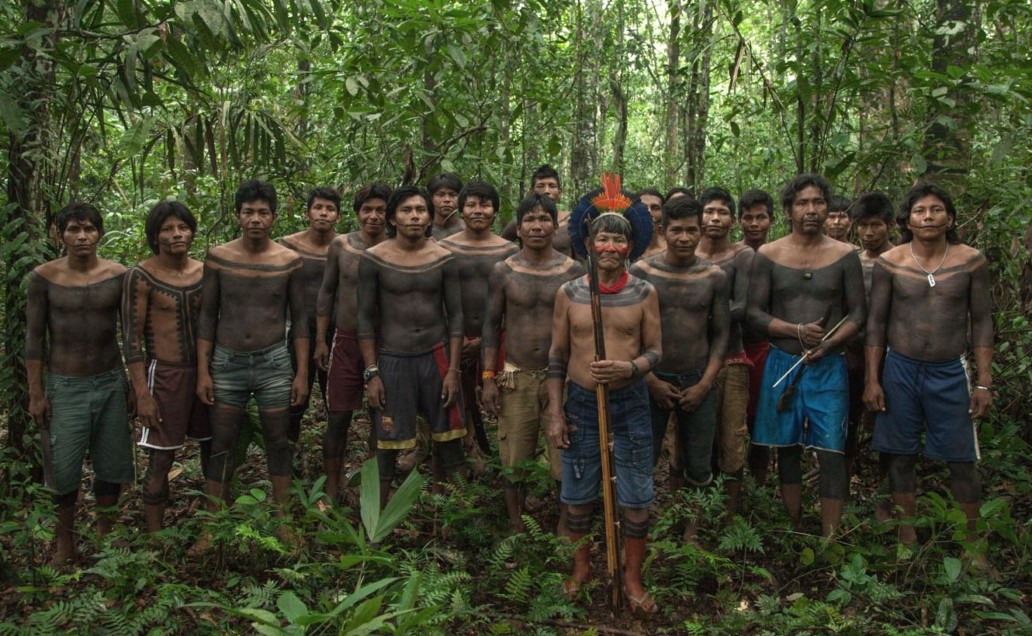 Biodiversity thrives in Kayapo’s Indigenous Territory - Kayapo Project