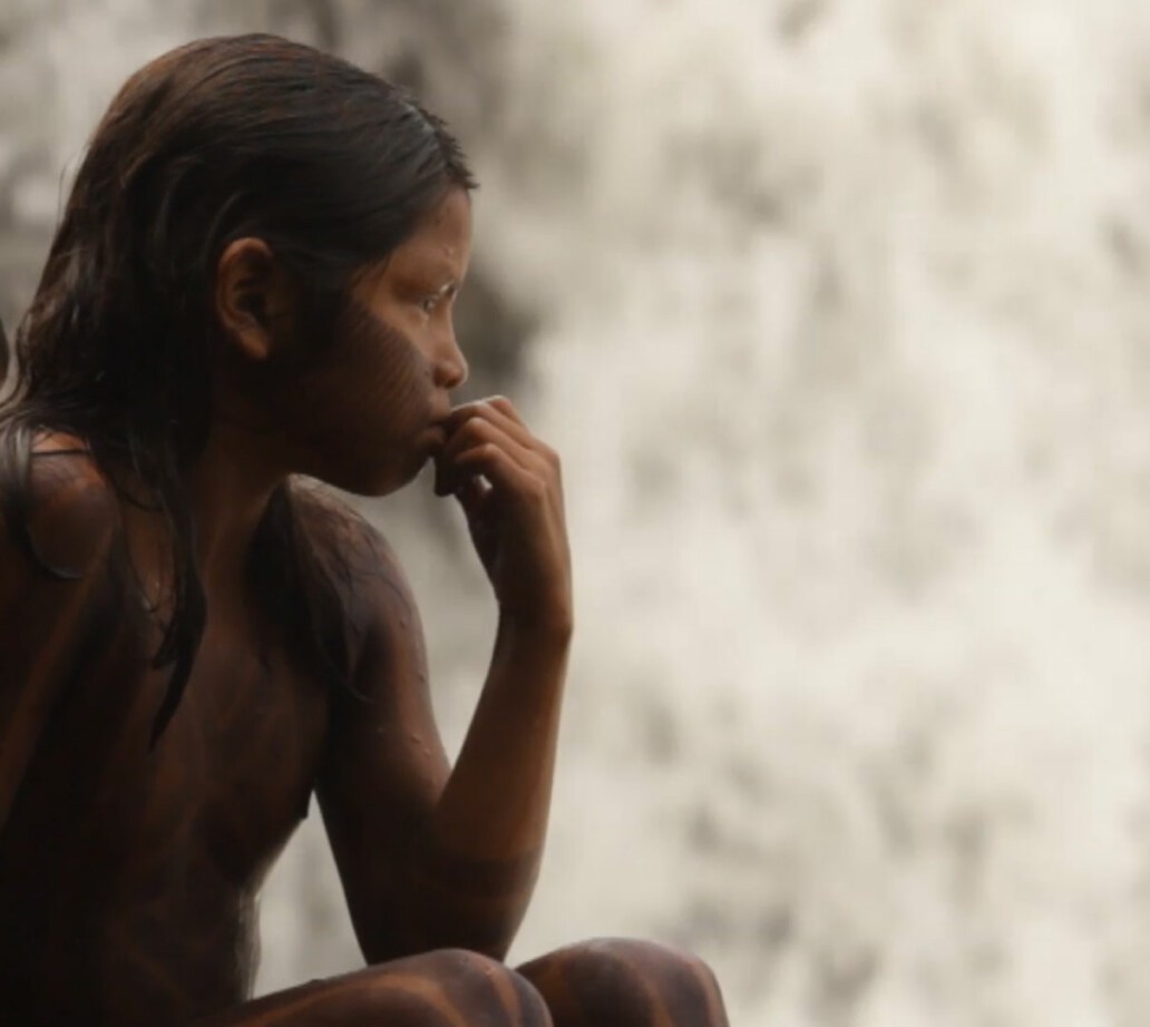 The Kayapo People - Kayapo Project