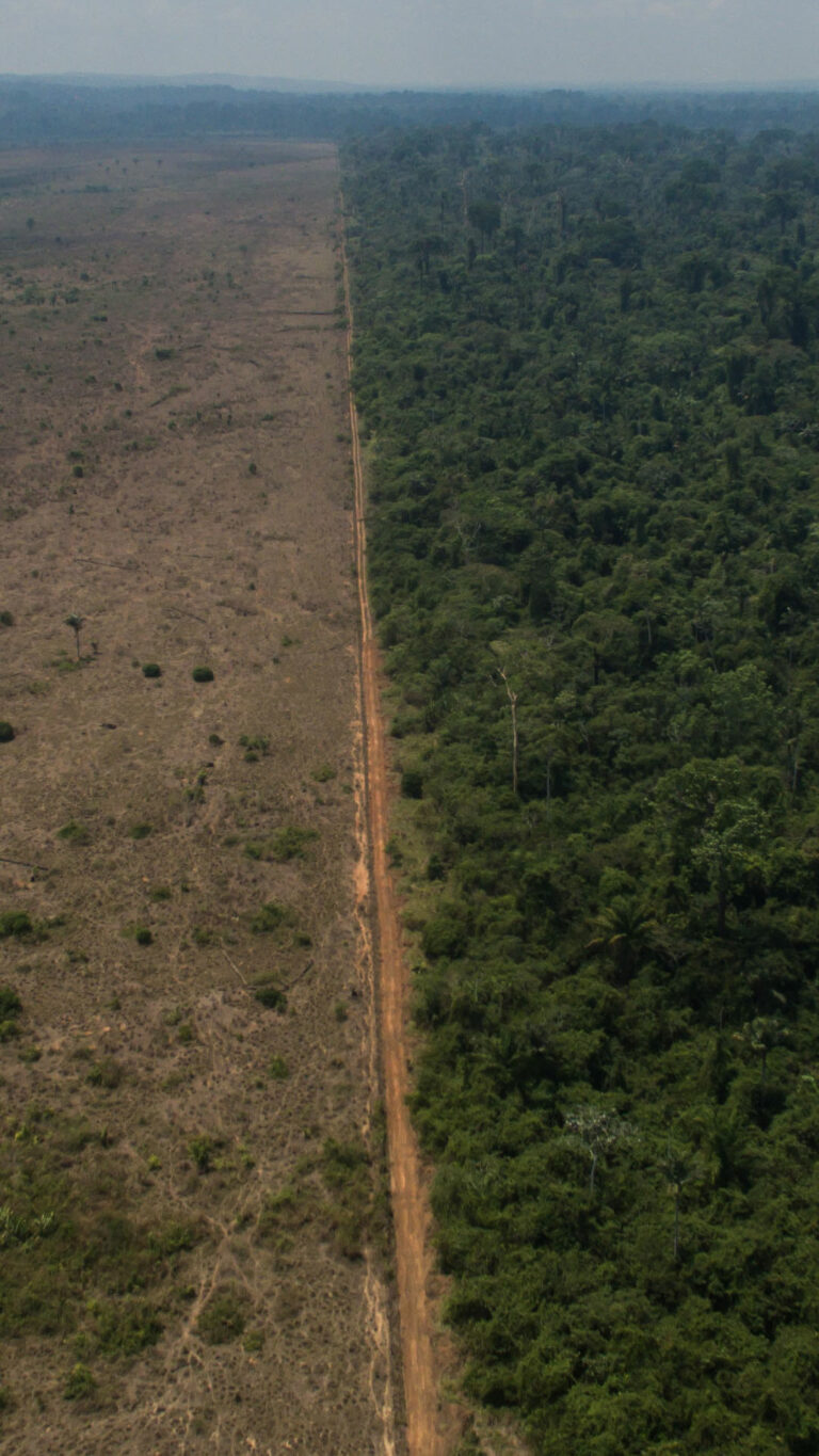 Territory - Kayapo Project